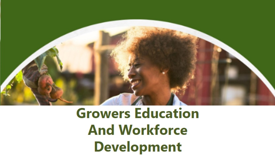 Dallas launches new urban agriculture program to train aspiring growers ...