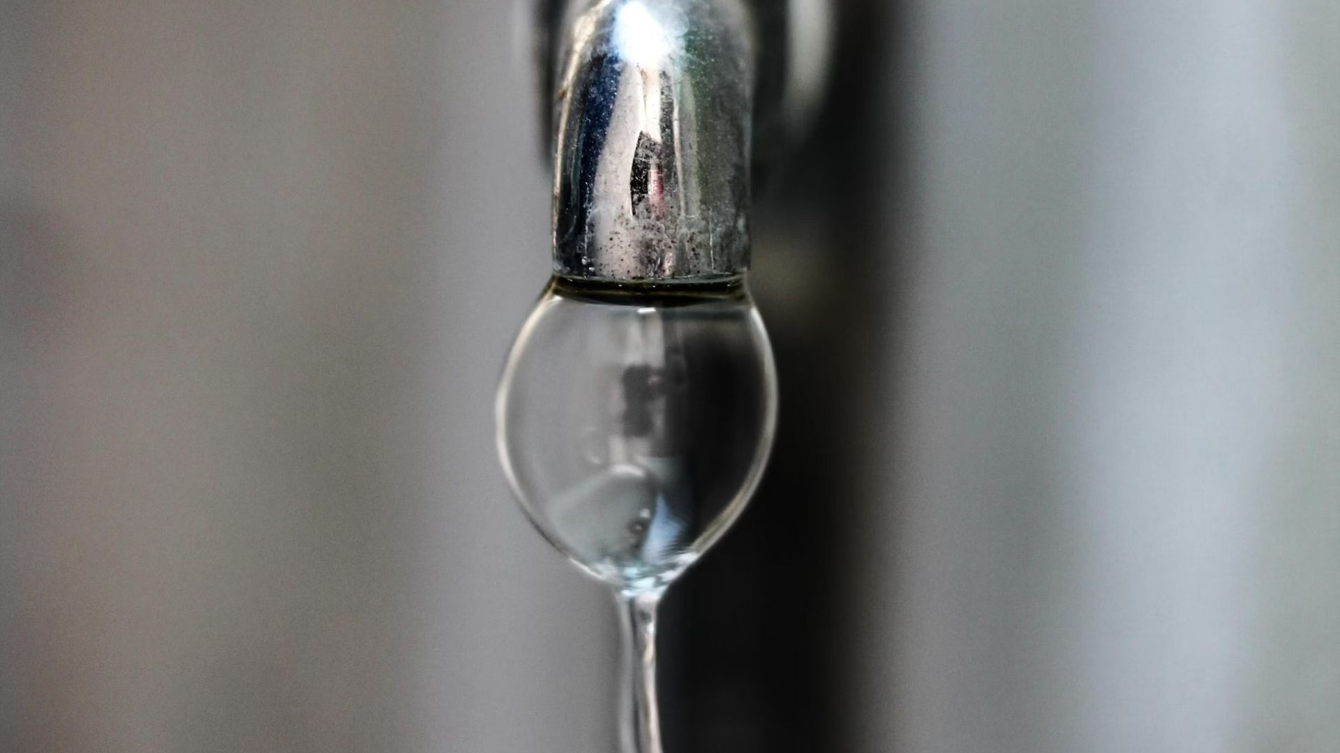 Abbott seeks immediate federal help as Laredo businesses face economic ...